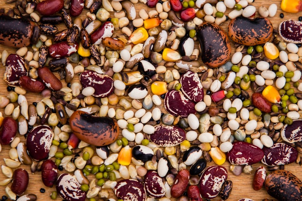 Growing sustainable agriculture through local legumes – ESSRG