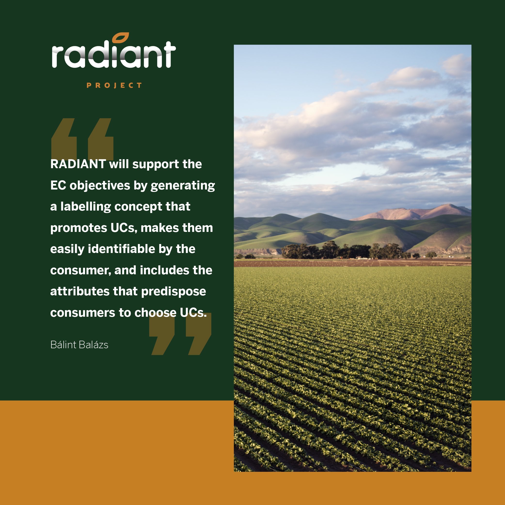 RADIANT project encourages agrobiodiversity and battles the monoculture ...
